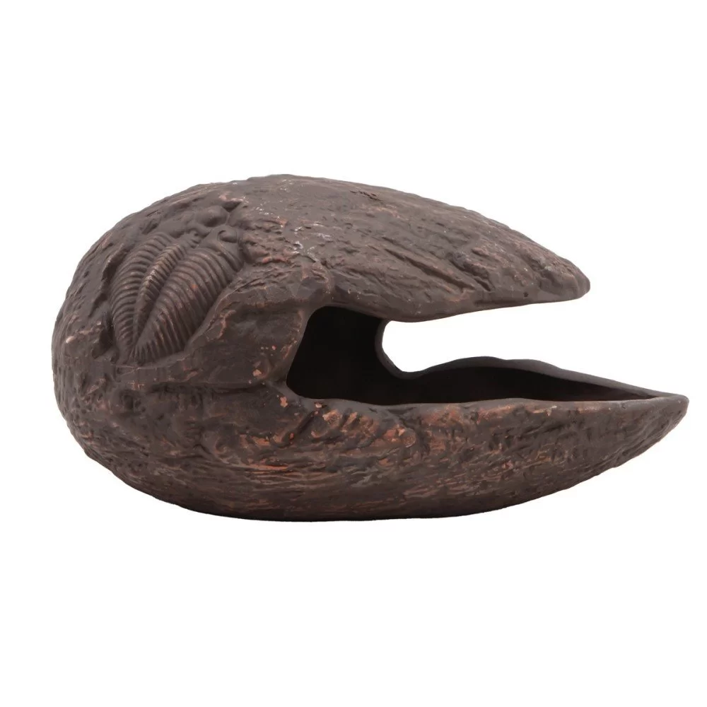 Repto Deco Cocoon Brown :: Geckonia