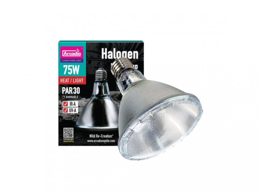 Arcadia Halogen Heat Lamp 75W :: Geckonia