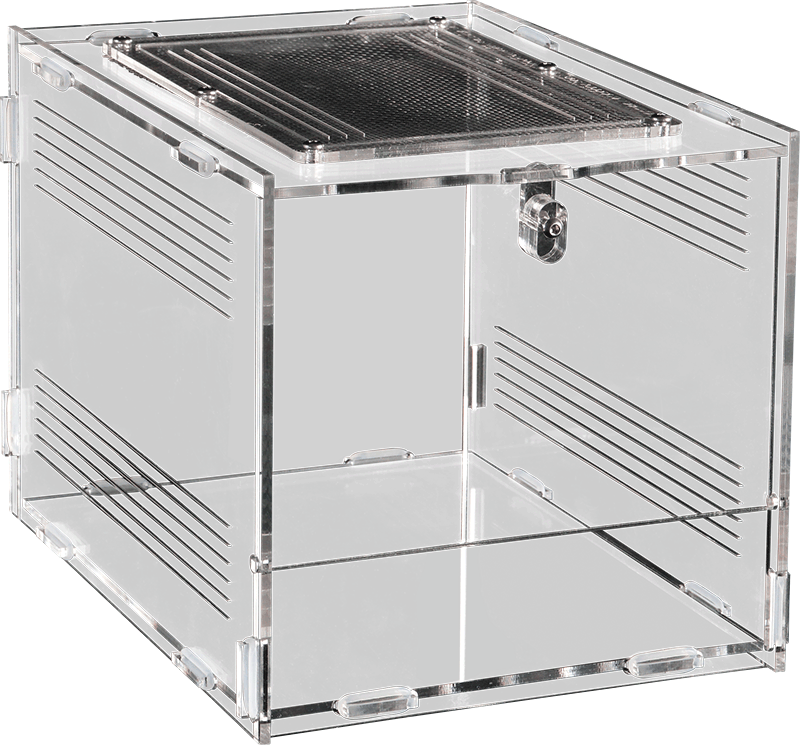 Repto Terra Clear 20x15x15 cm :: Geckonia